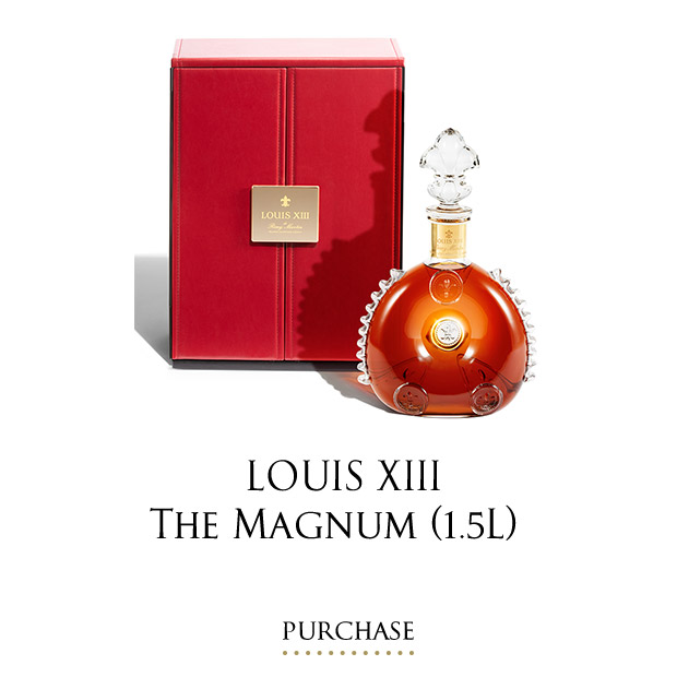 Louis XIII | iShopChangi