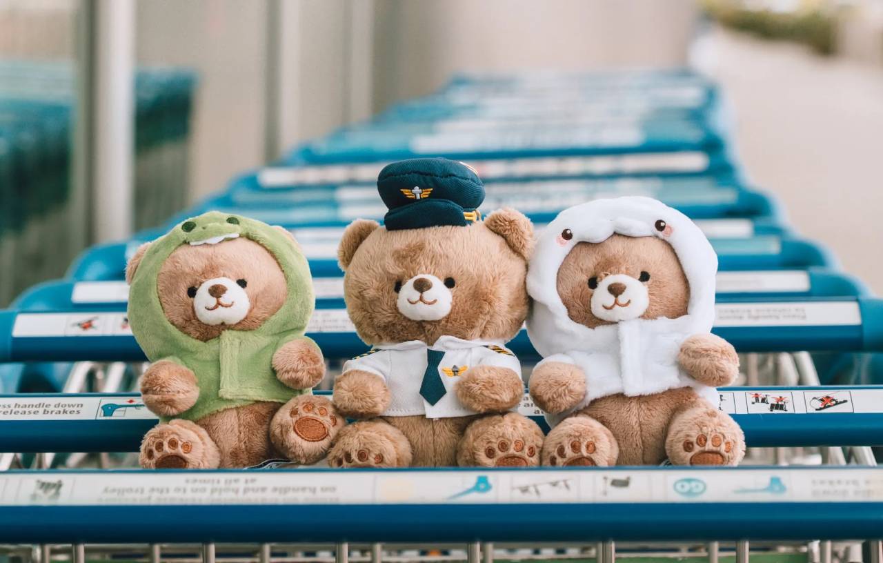 Souvenirs | iShopChangi