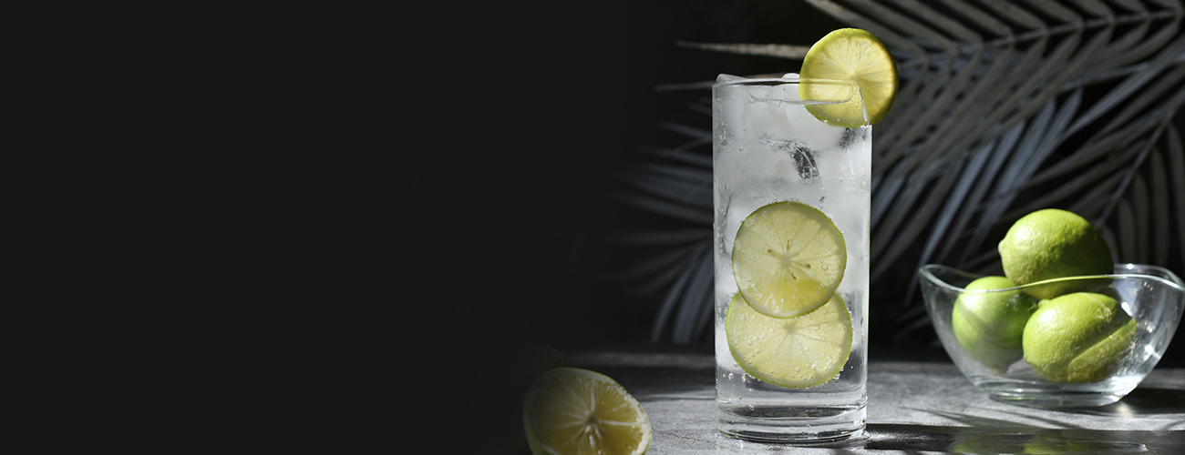 The World of Gin | Guide To Gin Mixers | iShopChangi | iShopChangi